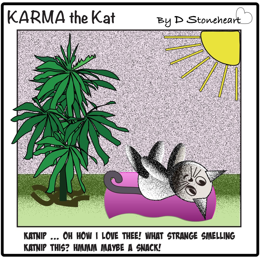 The Adventures of KARMA the Kat! – KARMA the Kat