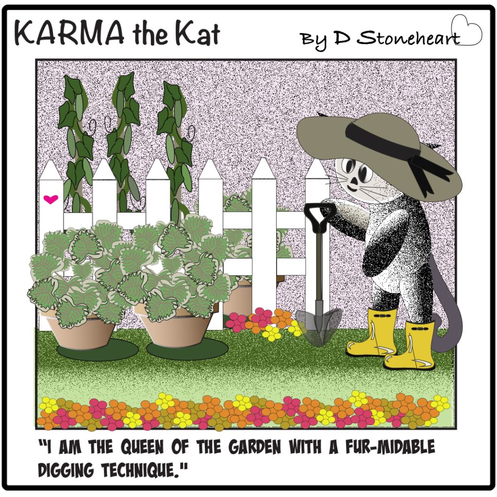 Gallery – KARMA the Kat