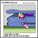 KARMA the Kat
